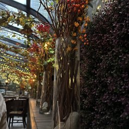 DRAUGHT 55 - Updated December 2025 - 381 Photos & 441 Reviews - 245 E ...