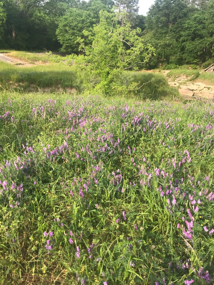 MATZKE PARK - 22 Photos & 20 Reviews - 13110 Jones Rd, Houston, TX - Yelp