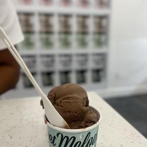 MIAMI COPPELIA ICE CREAM - Updated December 2024 - 92 Photos & 67 ...