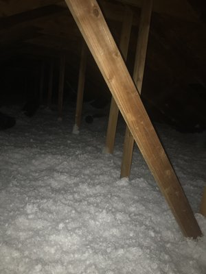 ATTIC ADVISOR - Updated December 2025 - 175 Photos & 103 Reviews - 23406 Avenida Del Carlota ...