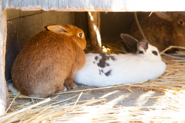 UC ELKUS RANCH ENVIRONMENTAL EDUCATION CENTER - Updated October 2024 ...