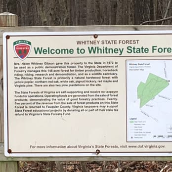 WHITNEY STATE FOREST - Updated December 2025 - 26 Photos - Lees Ridge ...