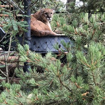 ALAMEDA PARK ZOO - Updated January 2026 - 157 Photos & 53 Reviews ...