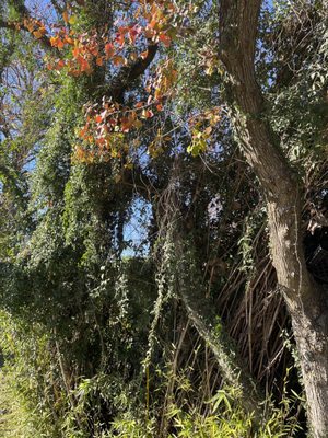 MENIL PARK - Updated January 2026 - 65 Photos & 40 Reviews - 1450 ...