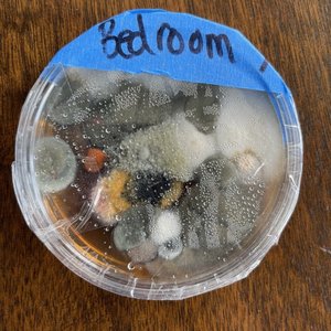 DEAN CUSTOM AIR - Updated December 2025 - 17 Reviews - 120 Logan Rd ...