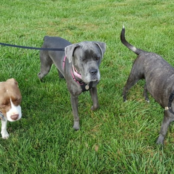 MOUNT TABOR ANIMAL HOSPITAL - Updated January 2025 - 16 Reviews - 4138 ...