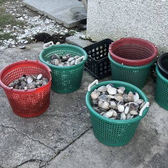 RIVERVIEW CAFE - Updated August 2024 - 274 Photos & 480 Reviews - 119 ...