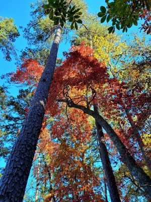 JACKRABBIT MOUNTAIN BIKE TRAILS - Updated September 2025 - 34 Photos ...