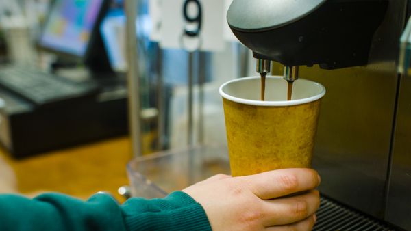 JUNGLE JAVA - Updated December 2025 - 70 Photos & 99 Reviews - 44595 ...