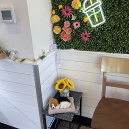 ONE BITE CAFE - Updated October 2025 - 129 Photos & 58 Reviews - 14148 ...