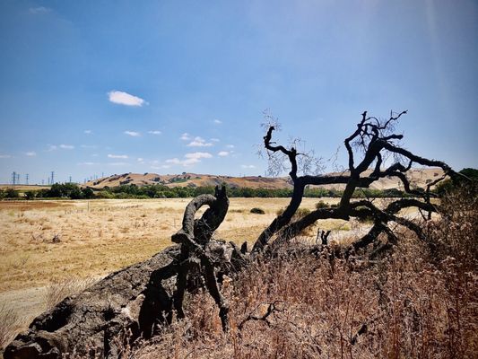 SYCAMORE GROVE PARK - Updated May 2024 - 358 Photos & 81 Reviews - 1224 ...