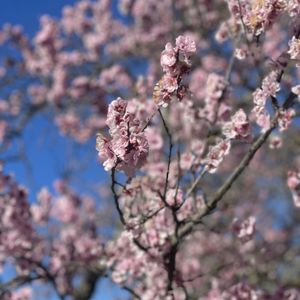 RIVERFRONT REGIONAL PARK - Updated October 2025 - 229 Photos & 51 ...