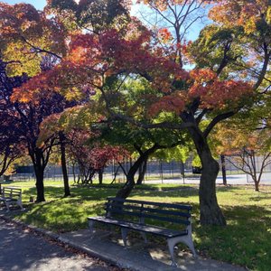 KISSENA PARK - 552 Photos & 95 Reviews - 164th St & Oak Ave, Flushing ...