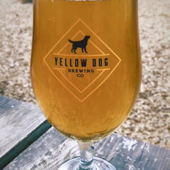 YELLOW DOG BREWING - Updated January 2025 - 114 Photos & 69 Reviews ...
