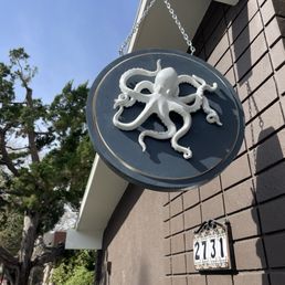 OCTOPUS BAJA - Updated December 2025 - 608 Photos & 238 Reviews - 2731 ...