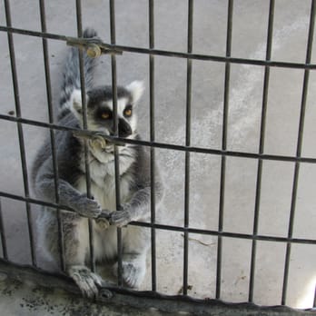 SPRING RIVER PARK AND ZOO - Updated April 2025 - 72 Photos & 28 Reviews ...