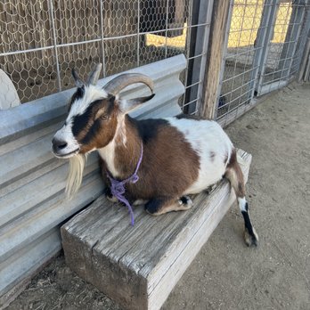 MACDONALD’S RANCH - Updated October 2024 - 478 Photos & 269 Reviews ...