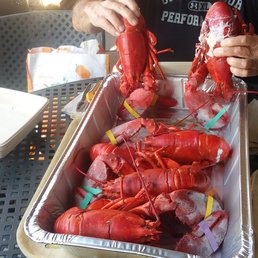 REGAL BUFFET - Updated May 2025 - 85 Photos & 160 Reviews - 3252 N 5th ...