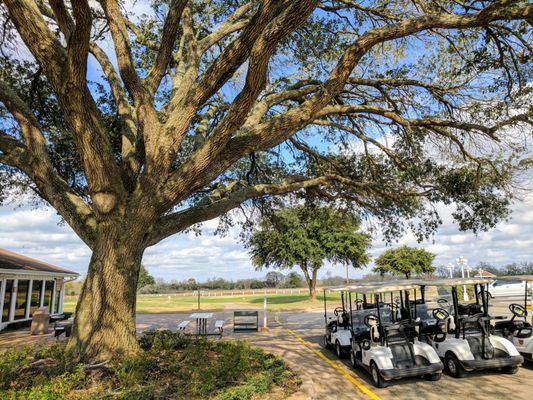 LEGENDARY OAKS GOLF COURSE - 15 Photos & 19 Reviews - 43279 Urban Rd ...