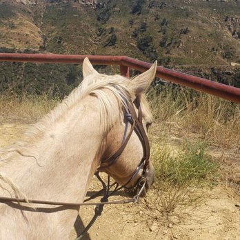 CIRCLE BAR B STABLES - Updated April 2025 - 695 Photos & 476 Reviews ...