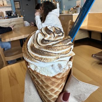 WILD SCOOPS - Updated August 2024 - 225 Photos & 159 Reviews - 530 E ...