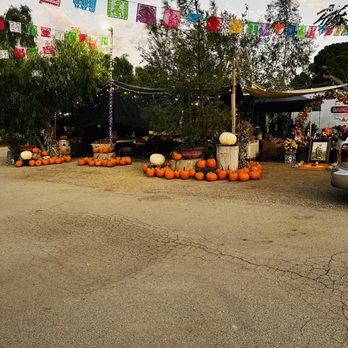 SANCHEZ PRODUCE - Updated March 2025 - 54 Photos & 17 Reviews - 16230 ...