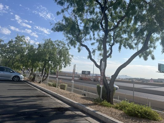 NELLIS AUCTION - Updated March 2025 - 79 Photos & 183 Reviews - 7440 ...