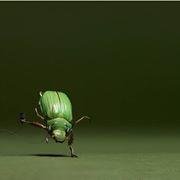 LOOKOUT PEST CONTROL - Updated October 2025 - 23 Photos & 38 Reviews ...