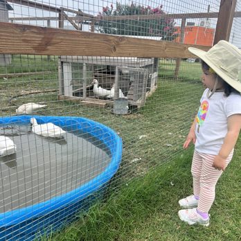 ROCKBERRY RANCH - Updated September 2024 - 94 Photos & 15 Reviews ...