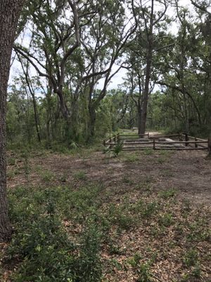 STONEY-BAYNARD RUINS, Hilton Head Island, South Carolina - Plantation ...