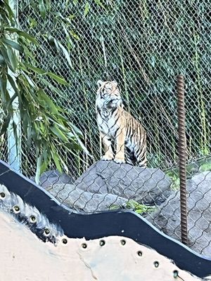 POINT DEFIANCE ZOO & AQUARIUM - Updated July 2024 - 1504 Photos & 493 ...