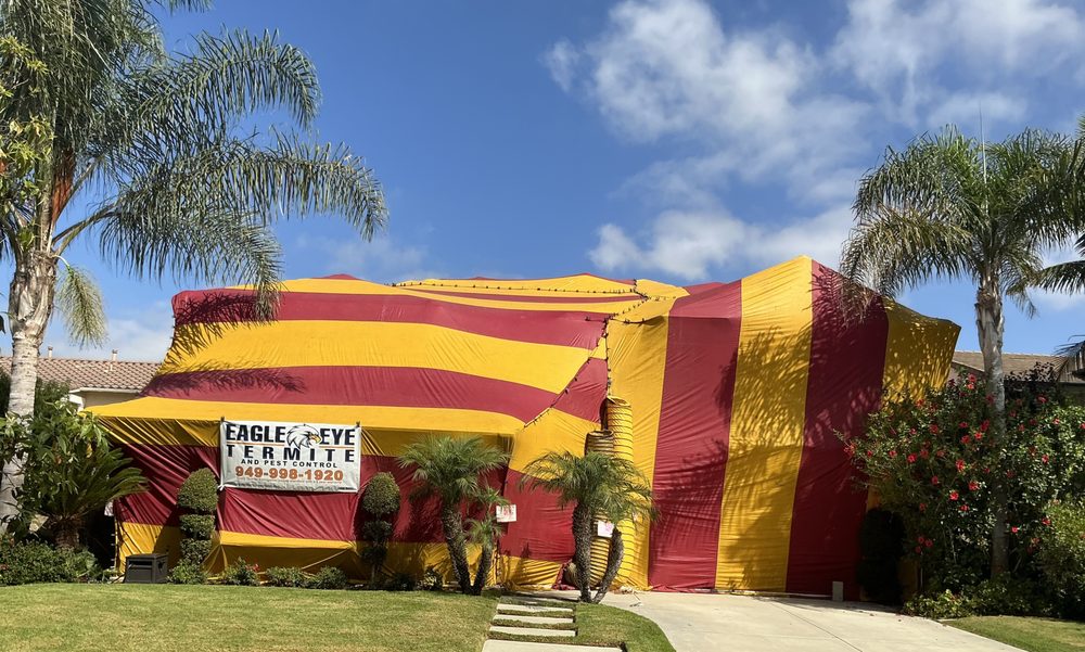 EAGLE EYE TERMITE AND PEST CONTROL - Updated October 2025 - 48 Photos ...