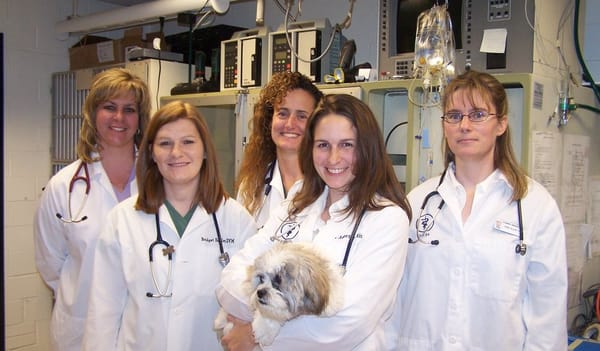 VCA NATOMAS ANIMAL MEDICAL CENTER - Updated October 2025 - 53 Photos ...