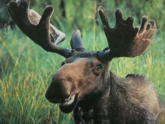 ALASKA NATIVE MEDICAL CENTER - Updated December 2025 - 53 Photos & 23 ...