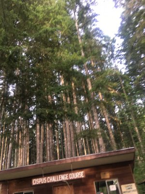 CISPUS LEARNING CENTER - Updated September 2025 - 13 Photos - 2142 Cispus Rd, Randle, Washington ...