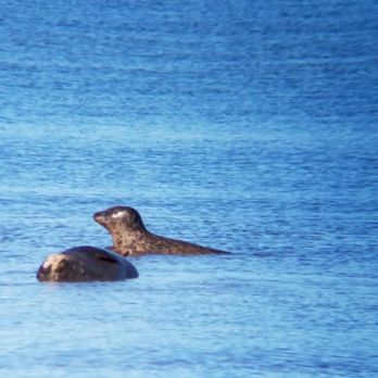 POINT MUGU RV PARK - Updated August 2025 - 31 Photos - 311 Main Rd ...