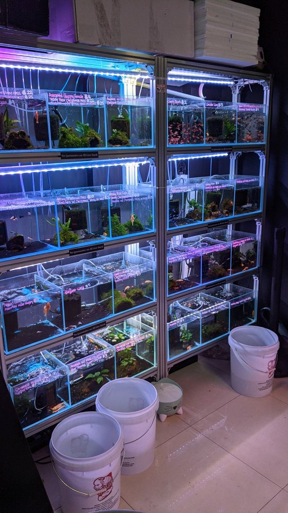 MONSTER AQUARIUM - 131-08 40th Rd, Flushing, New York - 70 Photos & 122 ...