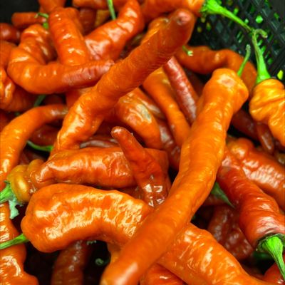 TANNER BROTHERS DAIRY - Updated October 2025 - 102 Photos & 166 Reviews ...