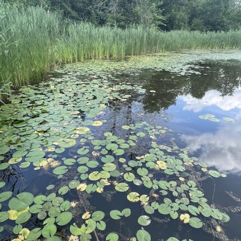 RYDER PARK - Updated September 2025 - 5400 Butternut Dr, East Syracuse ...