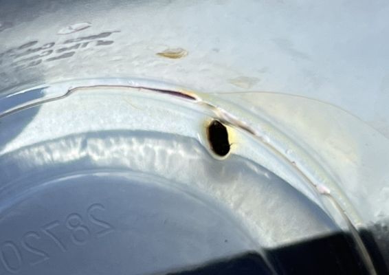 CLUB WYNDHAM GRAND DESERT - Updated December 2025 - 680 Photos & 642 ...