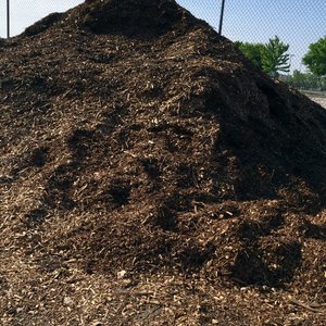 APPLETON PUBLIC LIBRARY - Updated January 2026 - 13 Photos - 200 N ...