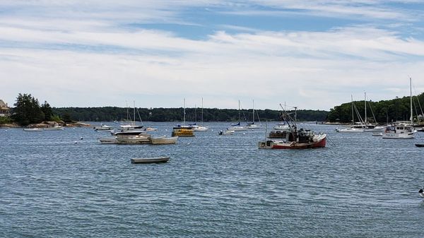 MUSCONGUS BAY LOBSTER - Updated June 2024 - 106 Photos & 90 Reviews ...