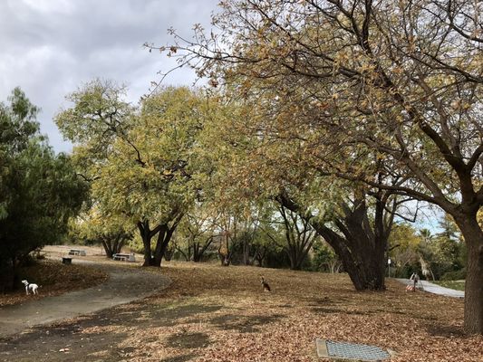 NILES COMMUNITY PARK - 39 Reviews & 209 Photos - 37697 3rd St, Fremont ...