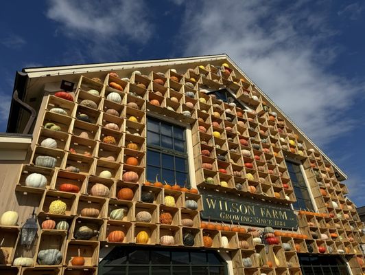 WILSON FARM - Updated October 2024 - 482 Photos & 403 Reviews - 10 ...