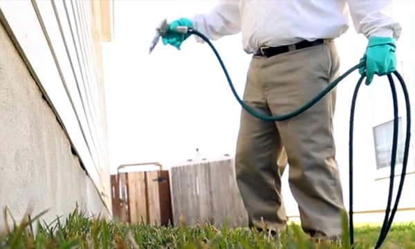 BULWARK EXTERMINATING - 37 Photos & 259 Reviews - 10900 Brittmoore Park ...