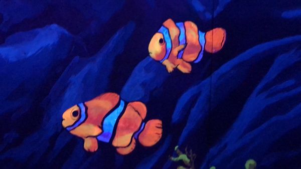 GLOWZONE 360 - Updated December 2025 - 13 Photos - 4800 Dixie Rd ...