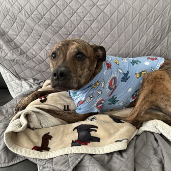 CONSTANT COMPANION - Updated January 2026 - 11 Photos & 13 Reviews ...