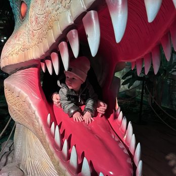 JURASSIC GARDENS - Updated September 2025 - 44 Photos - 27582 Volo ...