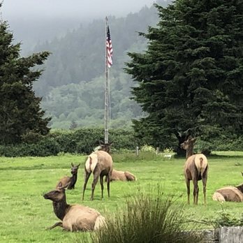 ELK COUNTRY RV RESORT - Updated December 2025 - 86 Photos & 77 Reviews ...