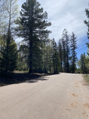 APACHE TROUT CAMPGROUND - Updated August 2024 - Big Lake Rd, Greer ...